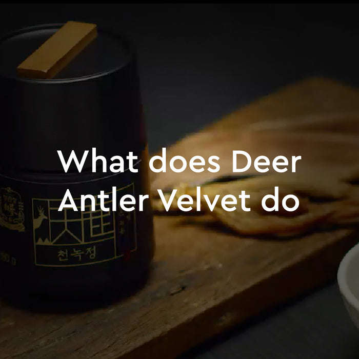 Understanding What Deer Antler Velvet Is – JungKwanJang®