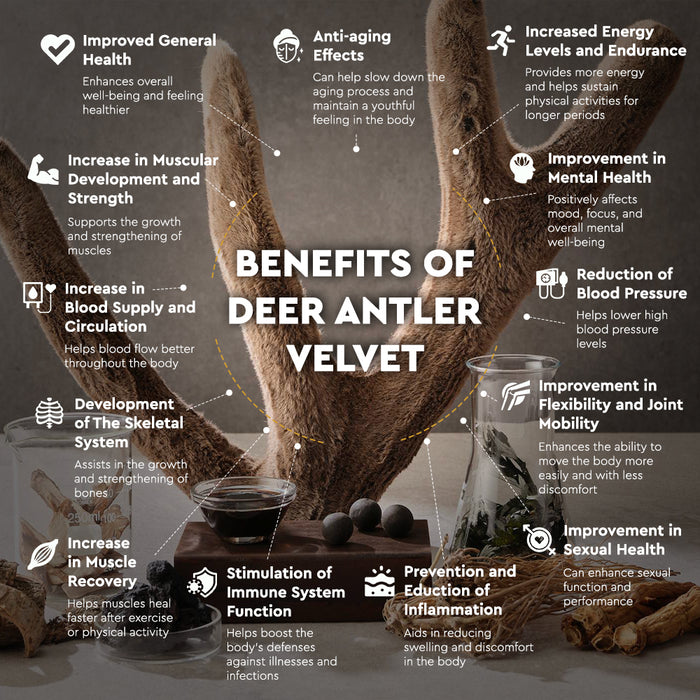 Understanding What Deer Antler Velvet Is – JungKwanJang®