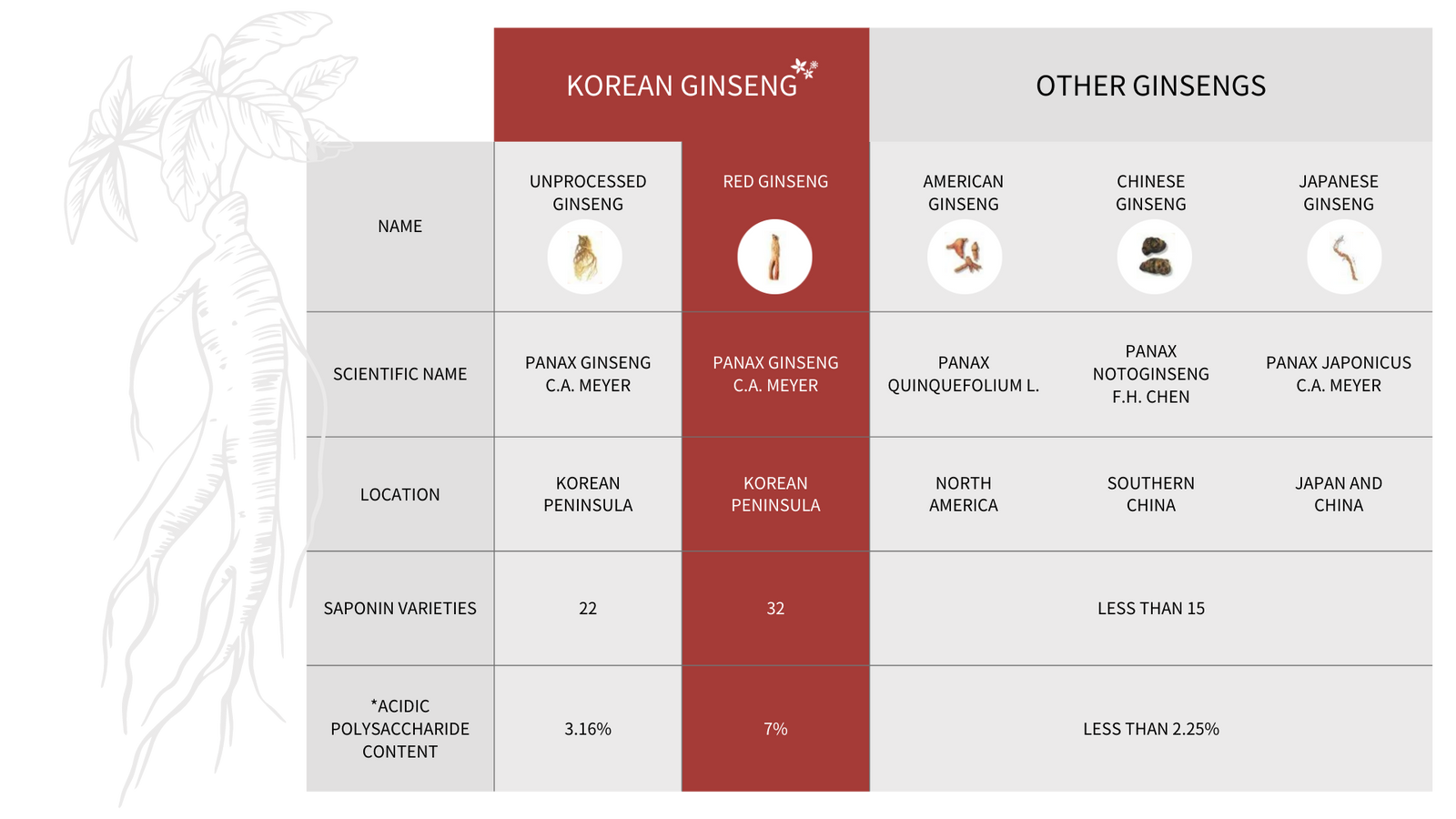 What is Korean Red Ginseng – JungKwanJang®